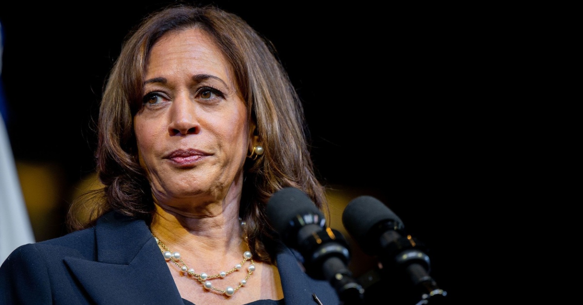 What Kamala’s Economic Plan Could Cost You - penniestosave.com